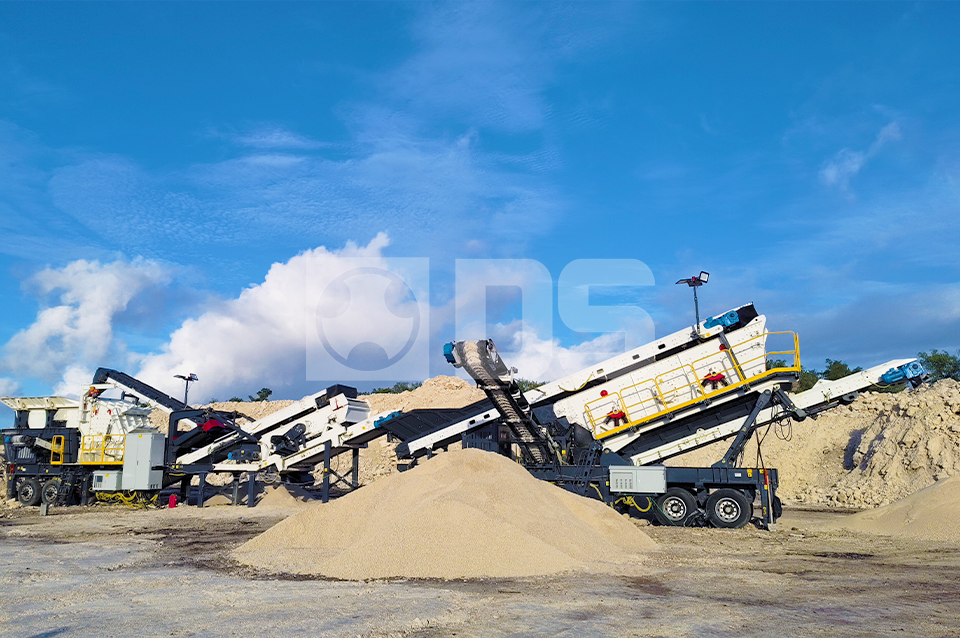 Case - Zhengzhou Dingsheng Engineering Technology Co., Ltd.